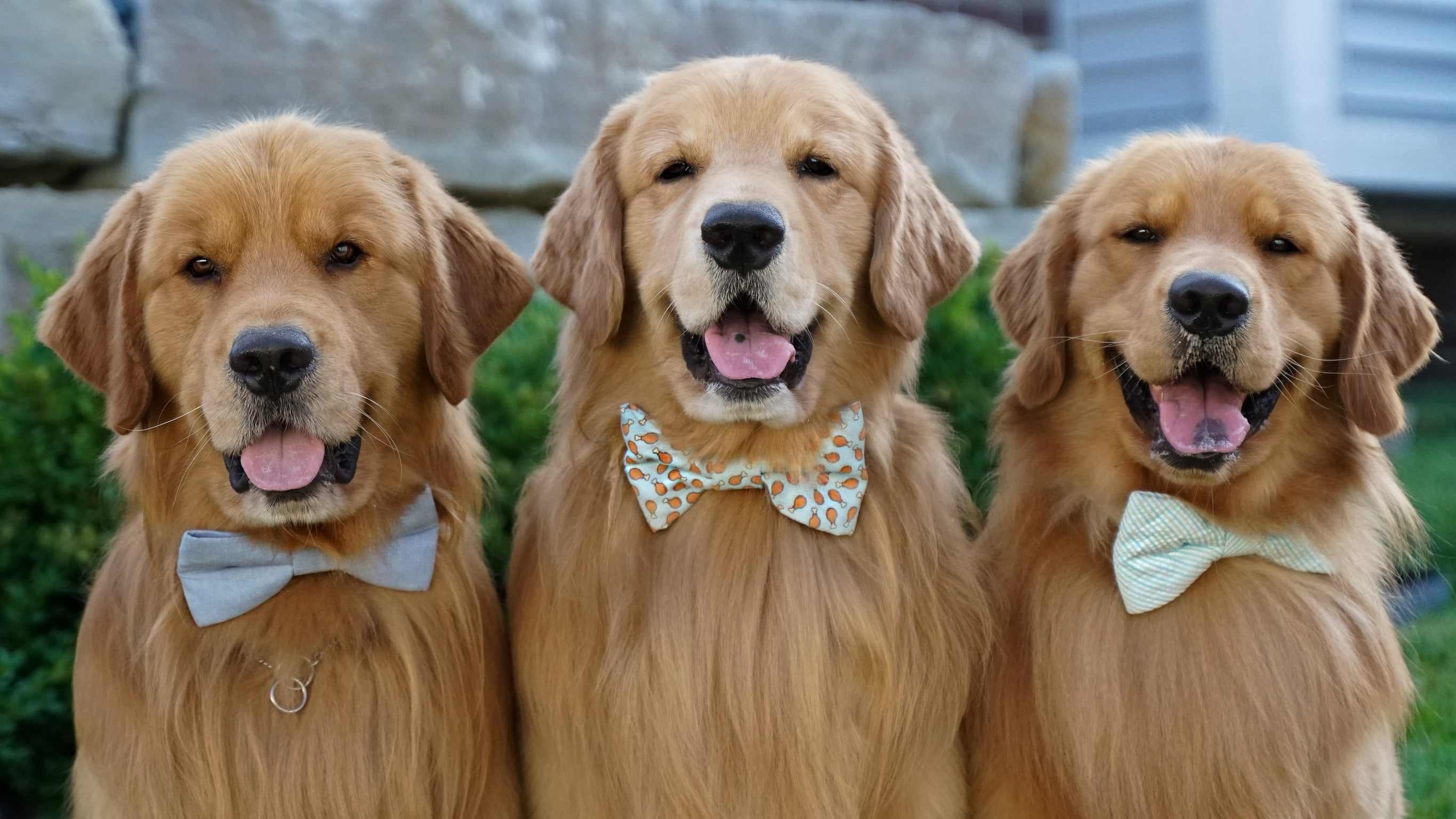 SHOP ALL – Tucker & Todd Co.